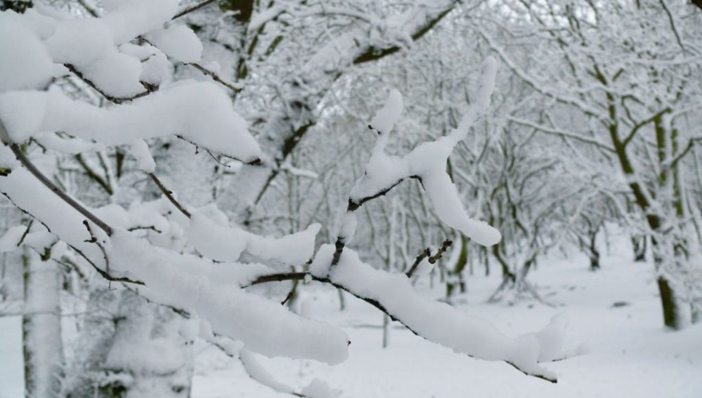 Winter Symbolism and Meaning Around the World - NextDreaming