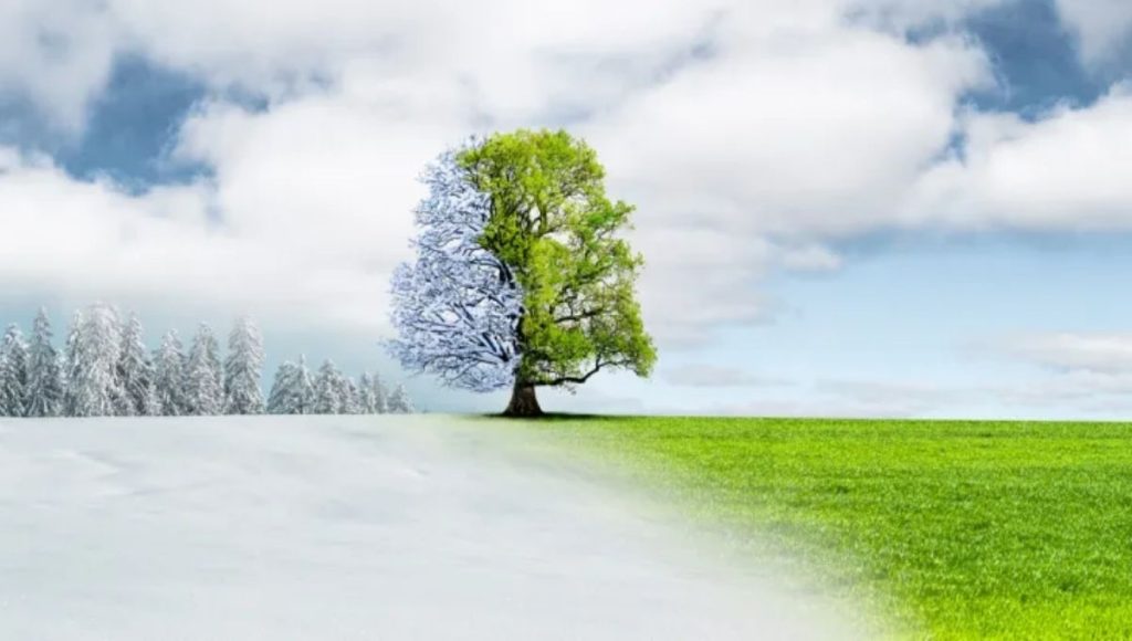 Winter Symbolism and Meaning Around the World - NextDreaming