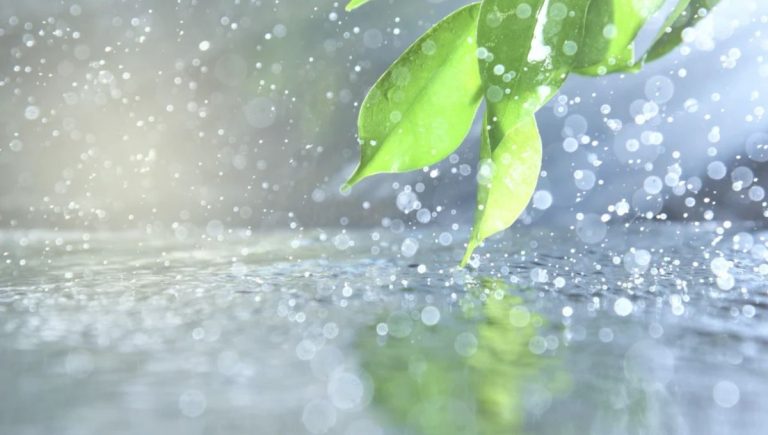 Rain Symbolism and Meaning Across Cultures - NextDreaming
