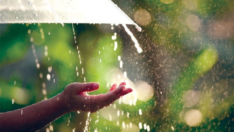 Rain Symbolism and Meaning Across Cultures - NextDreaming